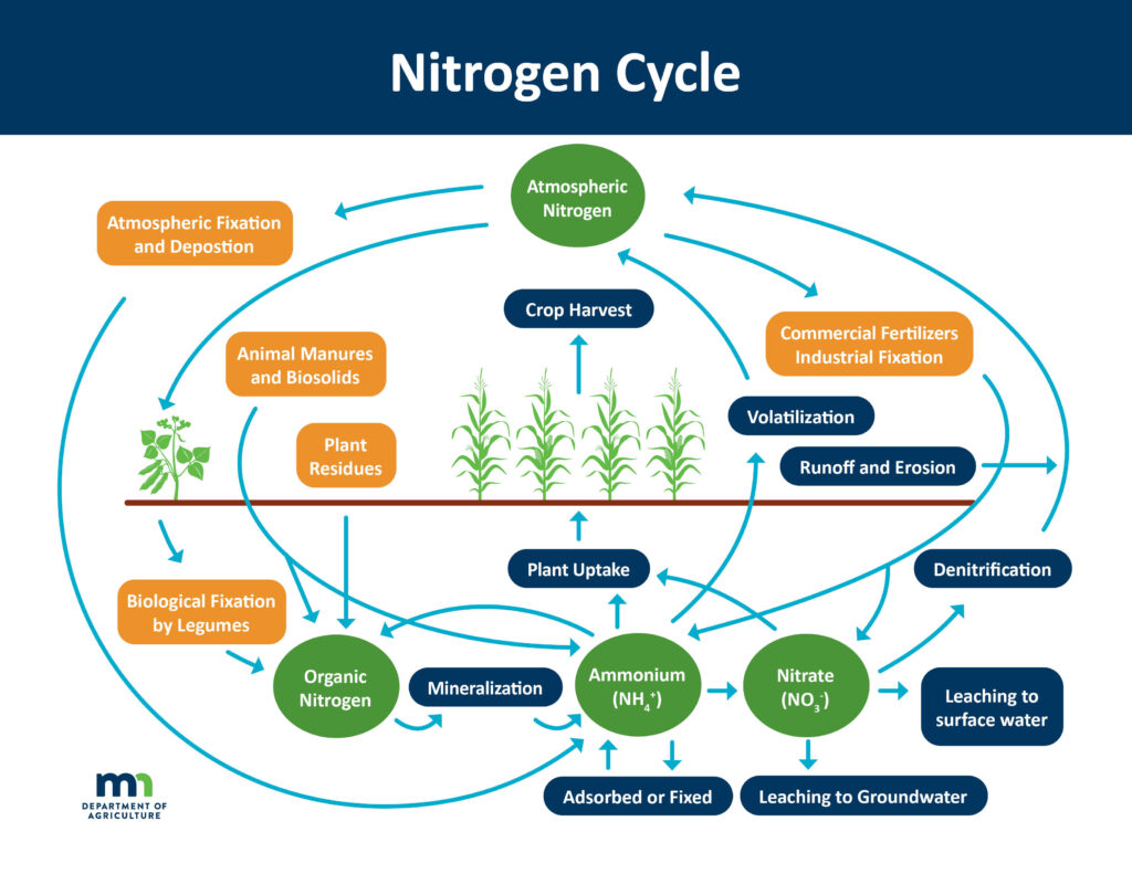 Nitrogen – MyPolymer | Asia's One Stop Distributor